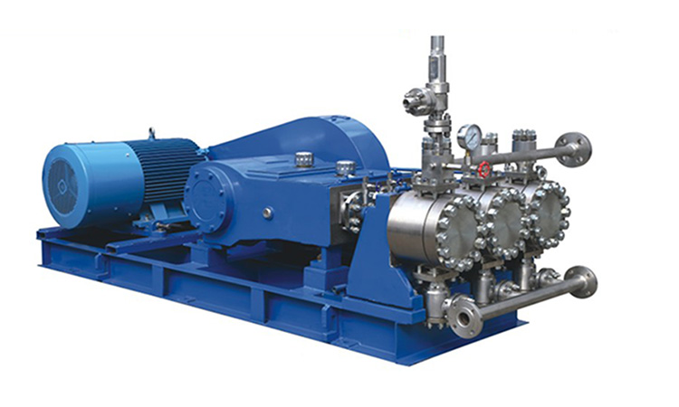Reciprocating Pumps